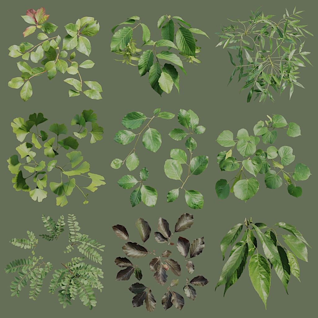 How to use twigs - The Grove